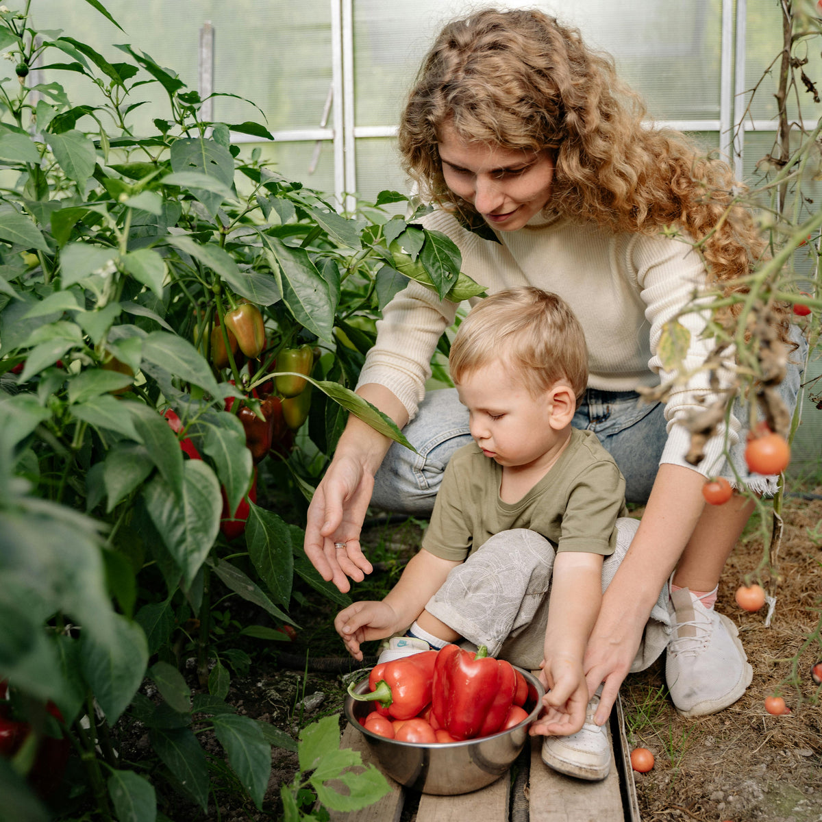 Orto: cosa fare accanto a cosa? Guida per principianti – AllBags